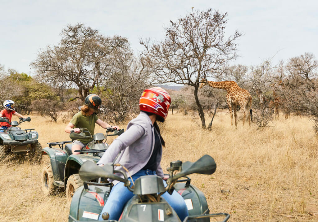 Summer Safari Magic: The Perfect Time for a Family-Friendly Wildlife ...